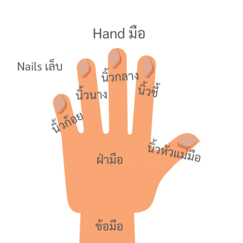 Learn How To Say The Body Parts In Thai Language | Thai With Grace